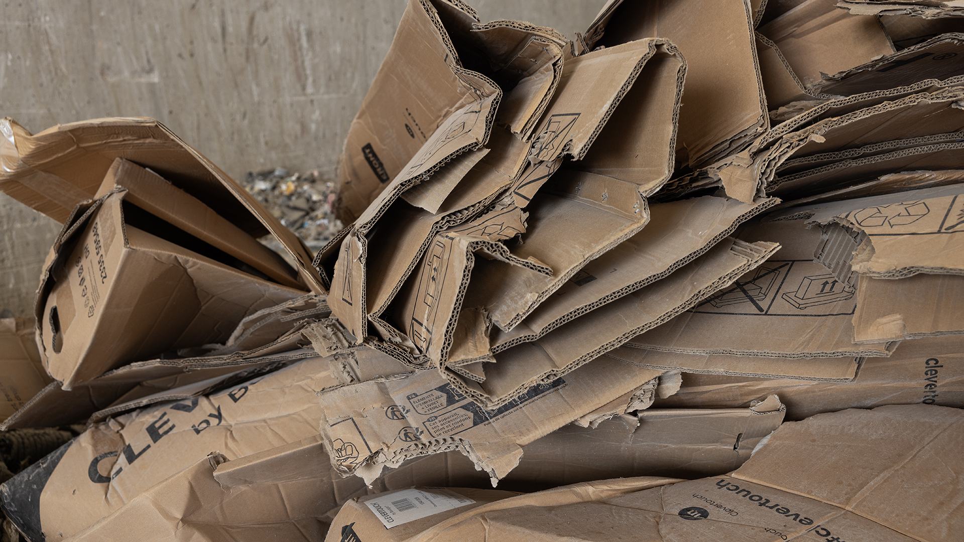 Recycling cardboard - Syklo